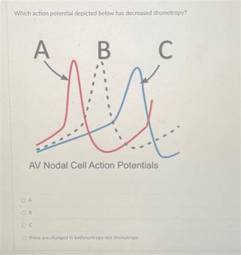 Solved Which Action Potential Depicted Below Has Decreased