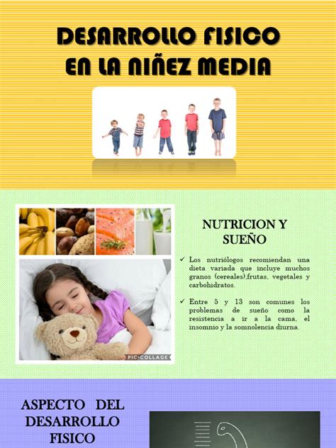 Desarrollo Fisico En La Niñez Media Pdf Obesidad Asma