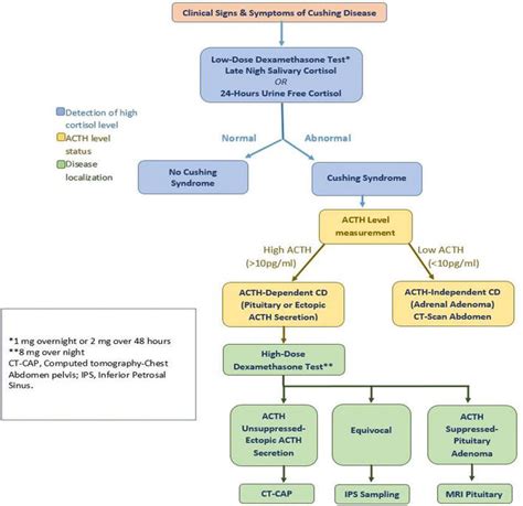 Pituitary Adenomas Classification Clinical Evaluation And Management