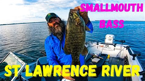 St Lawrence River Smallmouth Bass Fishing Action Youtube