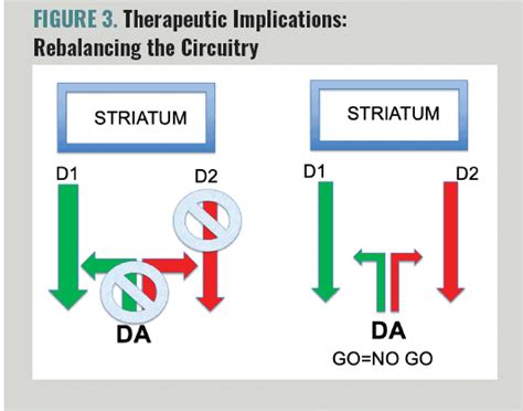 From A Dysfunctional Neuromodulator To A Dysfunctional Circuit