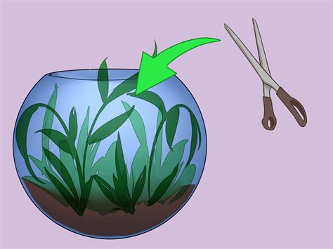 3 Ways To Build A Self Sustaining Ecosystem Wikihow