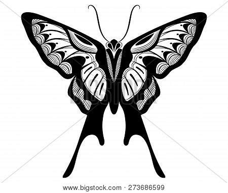 Swallowtail Butterfly Line Drawing