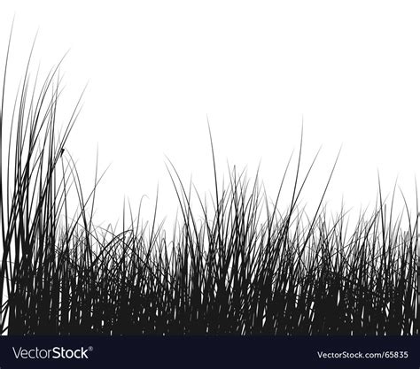 Grass Silhouette Royalty Free Vector Image Vectorstock