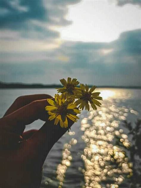 Live Share Group Facebook