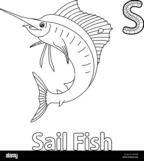 Sailfish Alphabet Abc Coloring Page S Stock Vector Image And Art Alamy