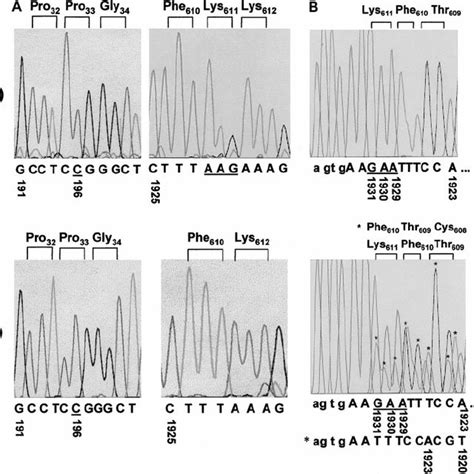 Nucleotide Sequence Analyses A Nucleotide Sequence Analysis Of Download Scientific Diagram