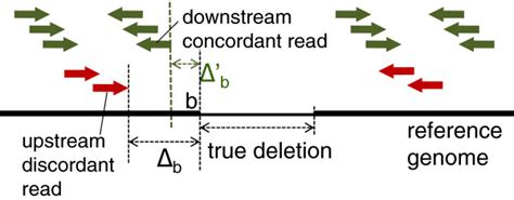 Resolution Improvement By Exploiting Concordant Read Pairs Schematic Download Scientific