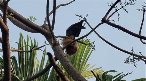 প্রকৃতির দৃশ্য কতোই না সুন্দর Youtube