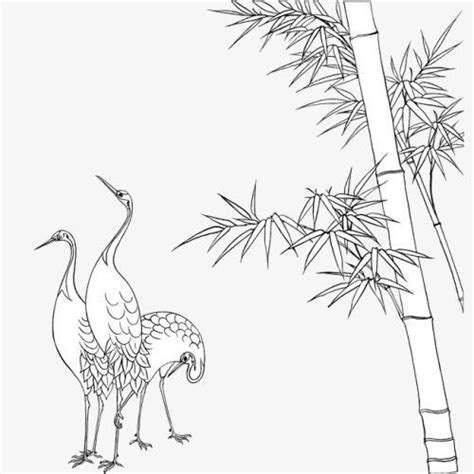鸟和竹子的简笔画大图 简笔画图片大全 普车都