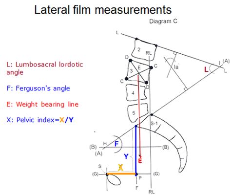 X Ray Flashcards Quizlet