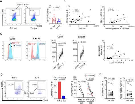 Cd11c B Cells Are Correlated With Th1 Cell Frequency A