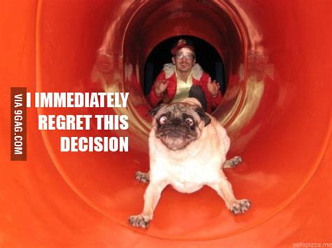 Regret 9gag