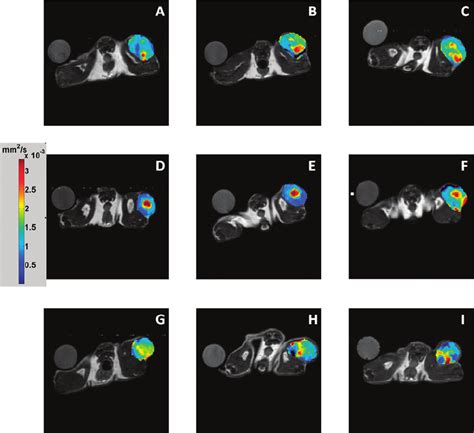 adc parametric maps for a representative mouse from each treatment download scientific diagram