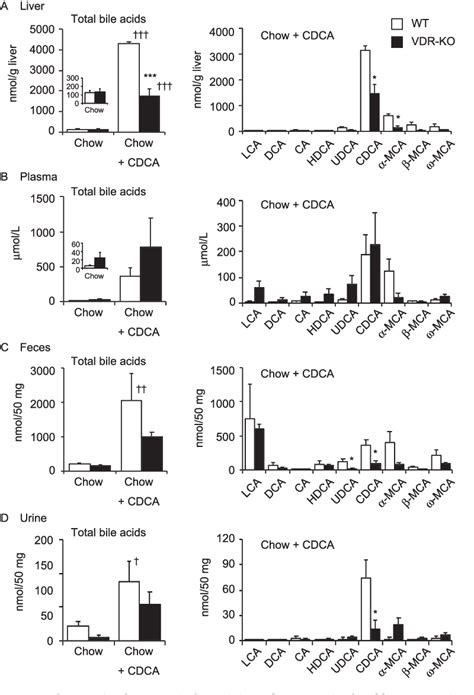 Figure 2 From Vitamin D Receptor Deletion Changes Bile Acid Composition