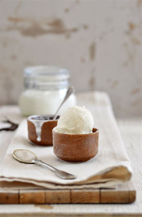 Anjas Food 4 Thought Vanilla Frozen Yogurt