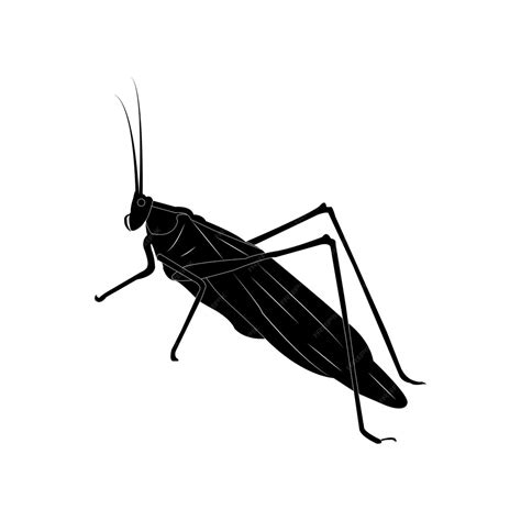 Premium Vector Grasshopper Icon
