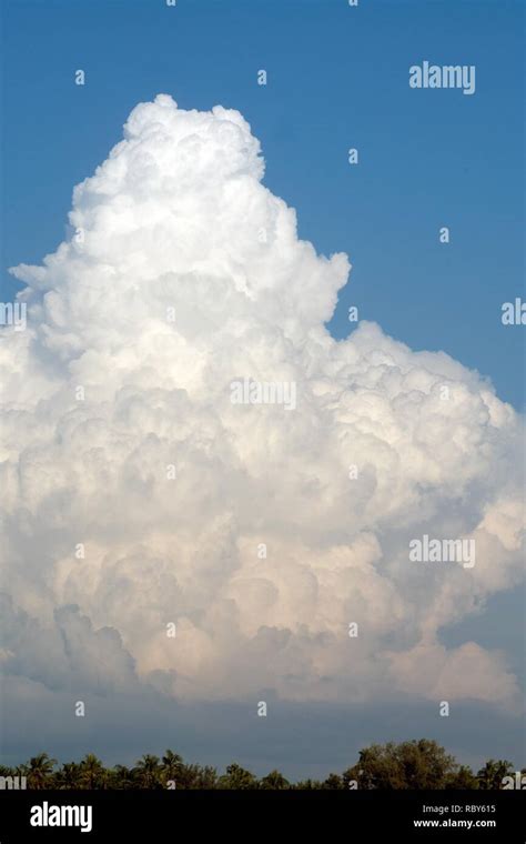 Blue Sky Colorful Landscape With White Morning Sky Clouds Lit By