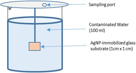Schematic Of Experimental Set Up Depicting The Batch Reactor Used For Download Scientific