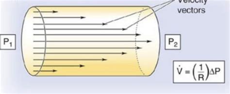 CSD 331 Unit 4 Diagrams Flashcards Quizlet CSD 331 Unit 4 Diagrams Flashcards Quizlet