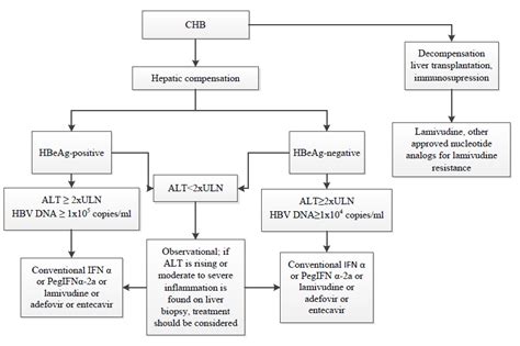 Flow Chart For Chronic Hepatitis B Antiviral Treatment Download Scientific Diagram