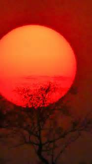 Boh Forse Le Foto Marchelena