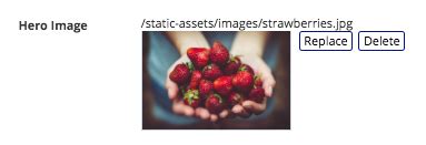 Image Control Craftercms Documentation