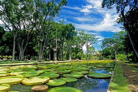 Must See Attractions In Mauritius Mercury Holidays