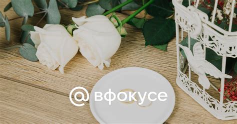 Можно ли заключить брачный договор уже после свадьбы ВФокусе Mail