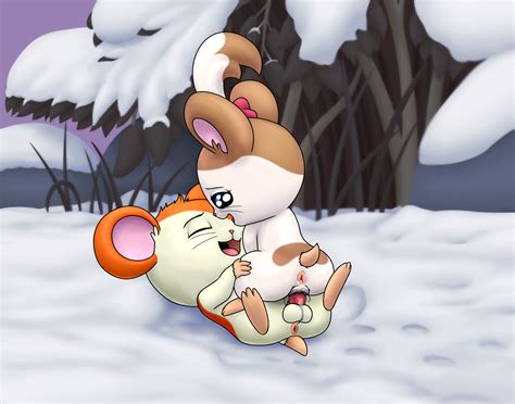 Rule 34 Absurd Res Accessory Anus Balls Barrette Hamtaro Blush Bodily Fluids Brown Body