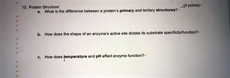 Solved Protein Structure What Is The Difference Between Proteins Primary And Tertiary