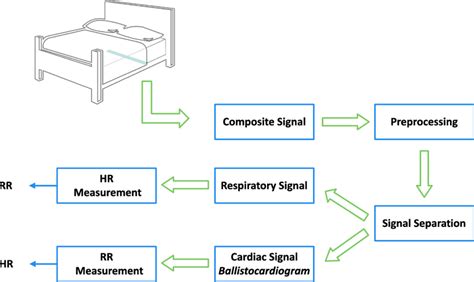 Common Framework For BCG Data Processing Download Scientific Diagram