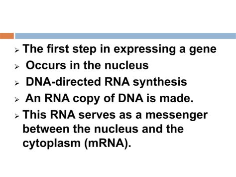 Transcription Of Dna Pptx Programming Languages Computing