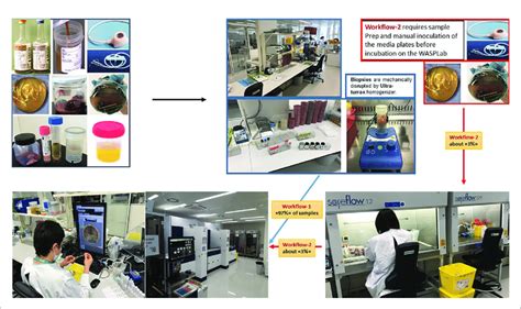 Total Lab Automation Workflows A Supposed Advantage Of Tla In