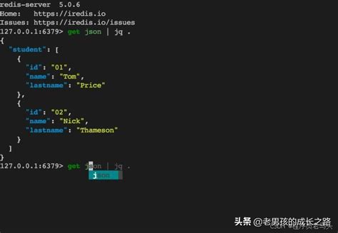 太厉害了，这应该是目前redis可视化工具最全的横向评测 redis 可视化 csdn博客
