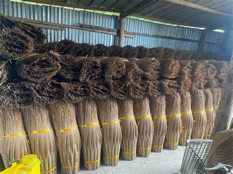 Grass Broom Pag Export
