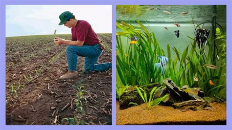 GRADE 4 DIFFERENT TYPES OF SOIL PPTX