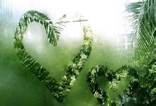 linux查询并杀死进程的方法 feng的博客