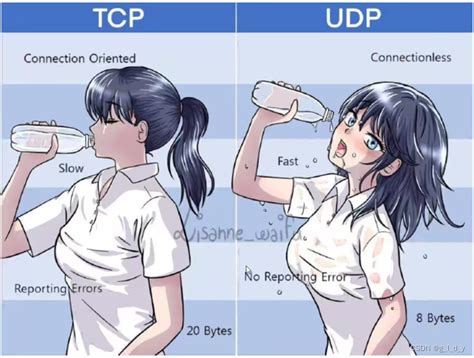 Tcp和udp协议 Csdn博客