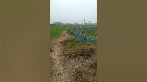 Plot Hi Plot Plotting Survey Gorakhpur Youtube