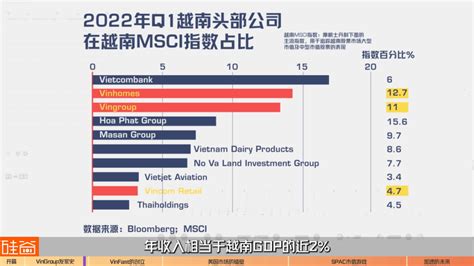“全球第三车企”vinfast：越南首富的美国梦搜狐汽车搜狐网
