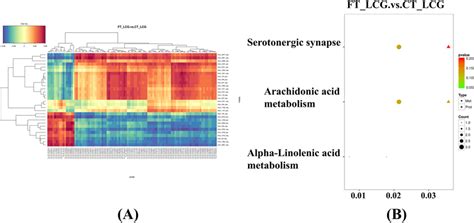 Proteomics And Metabolomics Expression Regulation Diagrams A Heat