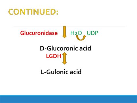 Ppt Uronic Acid Pathway Powerpoint Presentation Free Download Id