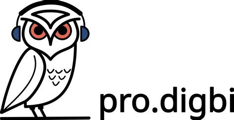 Startseite Pro Digbi