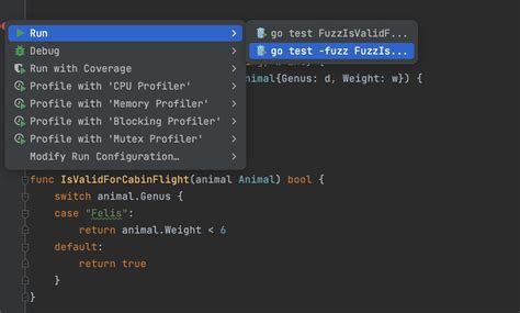 Fuzz Testing Jetbrains Guide