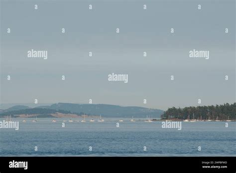 Sailboats And Recreational Boats Making An Optical Illusion In The Gulf