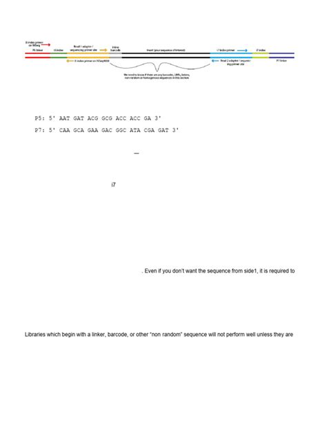 Illumina Library Structure 2021 Pdf Primer Molecular Biology