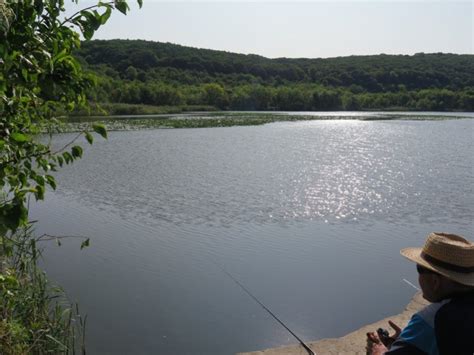 „Царството на водните лилии“ до силистренското село Малък Преславец Списание още за КЪЩАТА