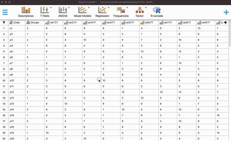 Statistiques Descriptives Avec Jasp Allostatsesg