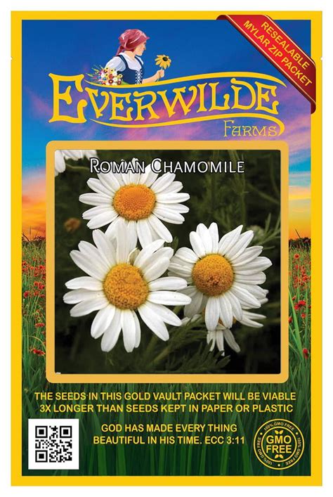 Indigo Seeds For Planting 60 Blue Wild Indigo Wildflower Seeds